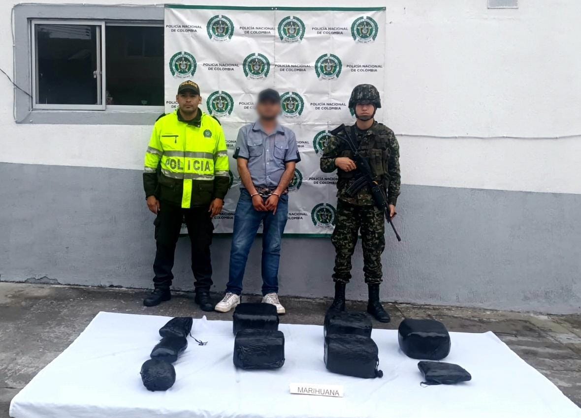 Un Capturado Y 33 000 Dosis De Marihuana Incautadas Don Tamalio