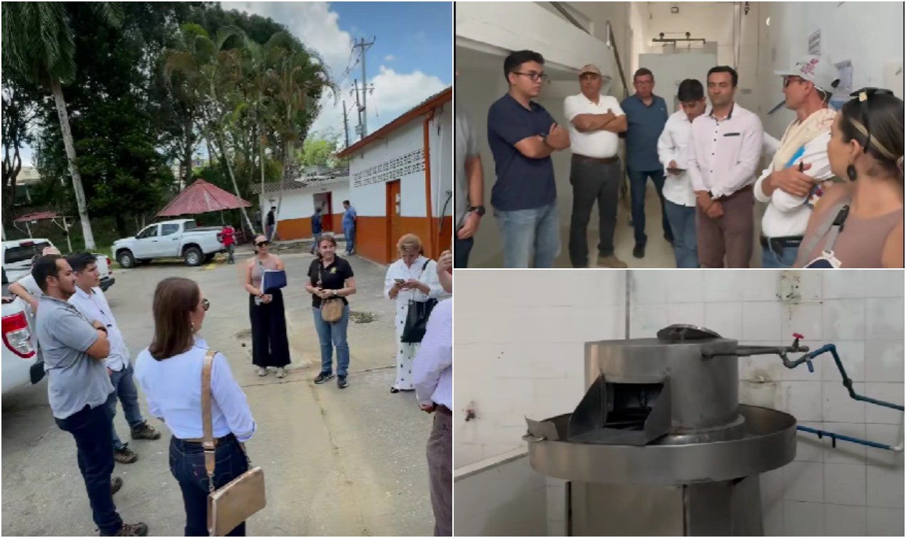 Alcaldesa de Líbano espera que planta de beneficio animal esté abierta ...