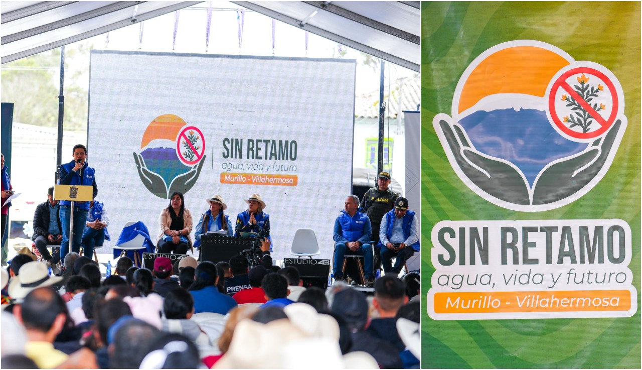 $16.000 millones se invertirán para erradicar el retamo espinoso en ...